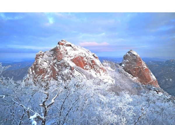 NXMH: Enabling brands for the future - NXMH